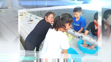 红领巾动感研学营:活动掠影(三)ߘ�ߤ�ߑ