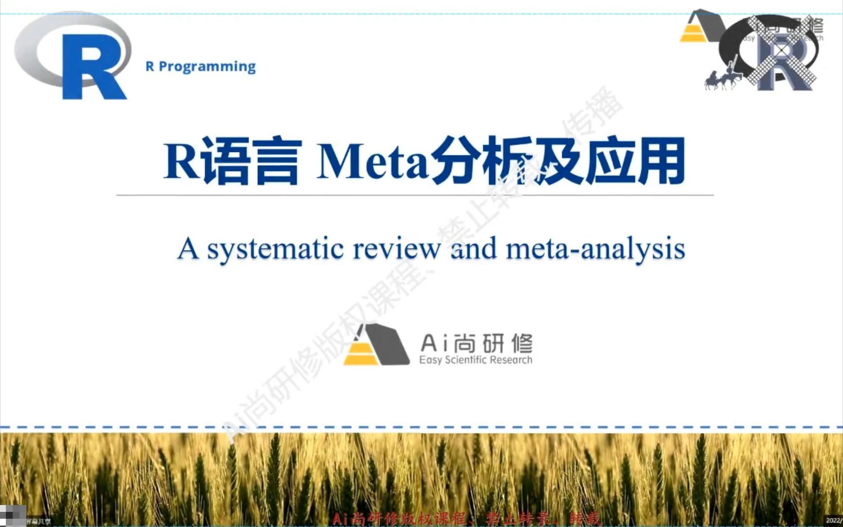 教程:R语言Meta全流程、不确定、回归、诊断分析与绘图及Meta机器...