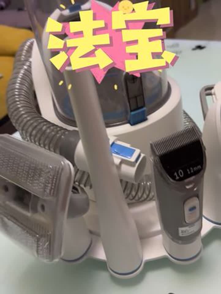 养猫人有这一套工具就够了!再也不会被猫毛困惑了猫毛解决方案