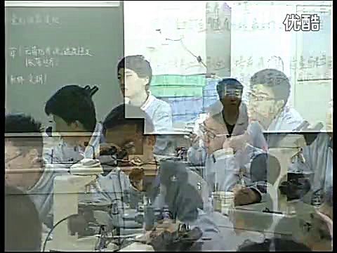 高中生物必修3《探究培养液中酵母种群数量的动态变化》教学视频