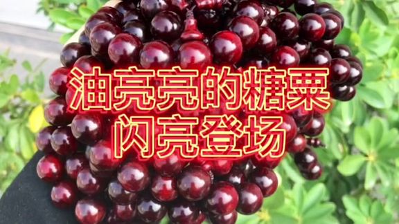 @油亮的板栗闪亮登场#雕刻工艺我的世界 #抖音小助手 #佛珠手串