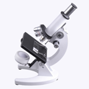 显微镜2400倍观察 