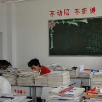 彪哥哥的世界 