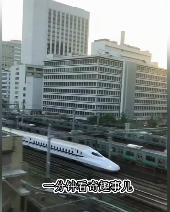 高铁和绿皮火车的竞赛,怎么感觉绿皮车还占领了优势呢?