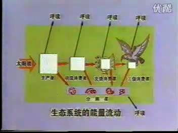 生态系统的结构和功能.