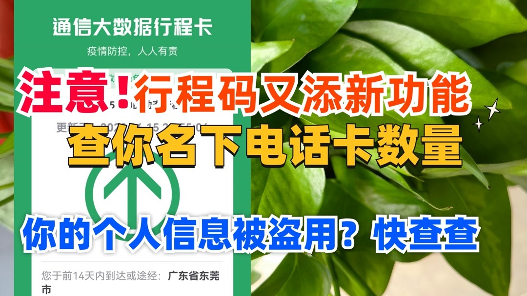 行程码又添新功能,可以查你名下电话卡数量,小心被冒用赶紧查查