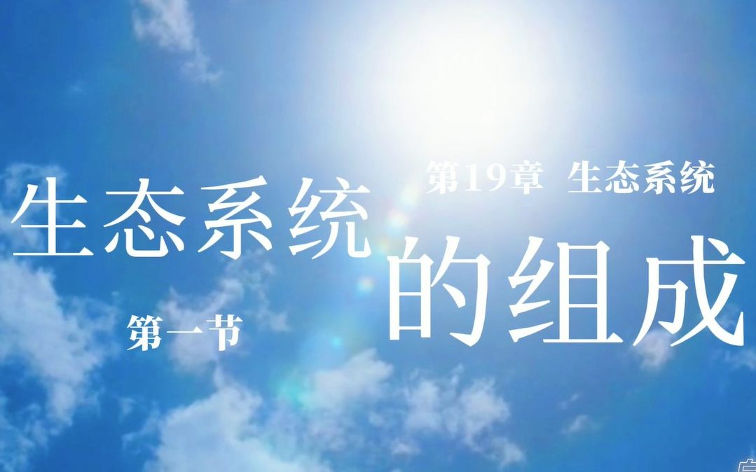 八下《生态系统的组成》