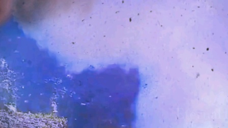 战争片斯大林格勒精彩片段——科娜