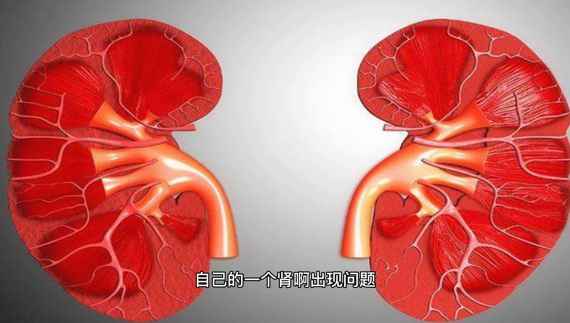 如何补肾?怎么补肾?吃什么补肾?质子肉黄精的功效是什么