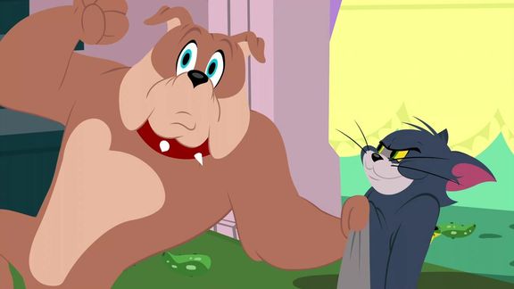 猫和老鼠:汤姆和杰瑞打架,狗狗制止,却被赶出了家门!