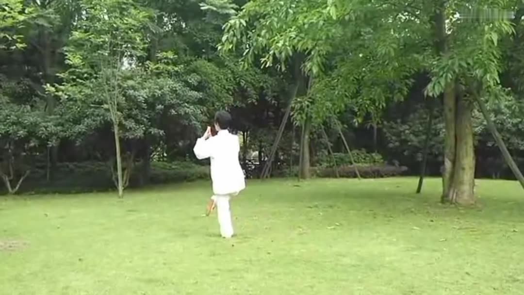 中华通络操慢动作演练 《视频》