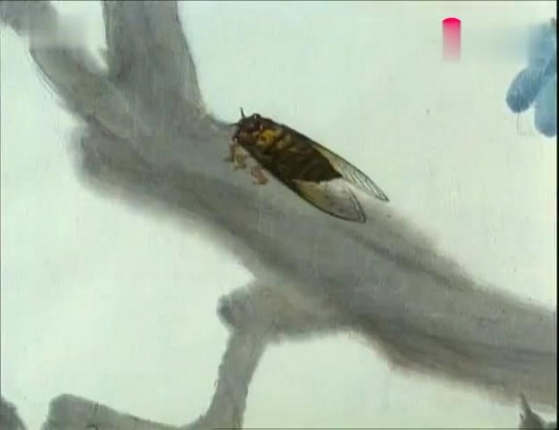 国产水墨动画片:螳螂捕蝉