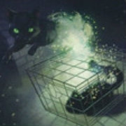 莲子家的量子喵 