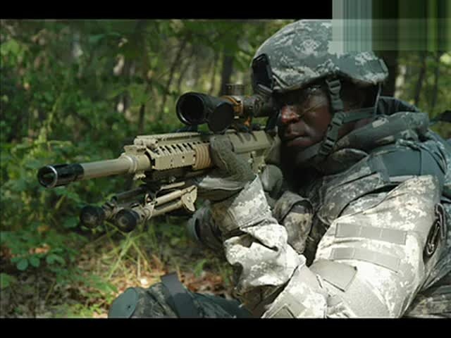 最喜欢的十大狙击枪排行