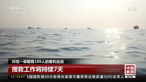 [中国新闻]印尼一架载有189人的客机坠毁