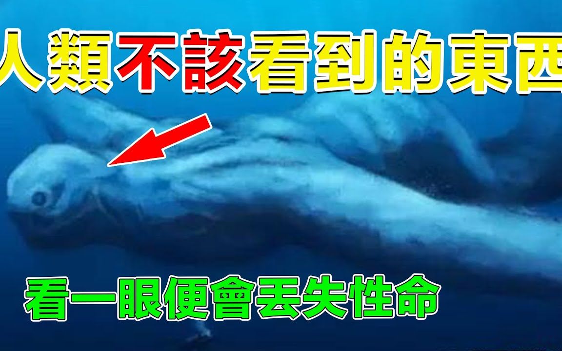 10个世界上人类不该看到的东西,第一名竟真实存在! 科学家至今都无法...
