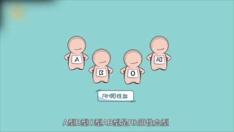 O型血为什么叫熊猫血?