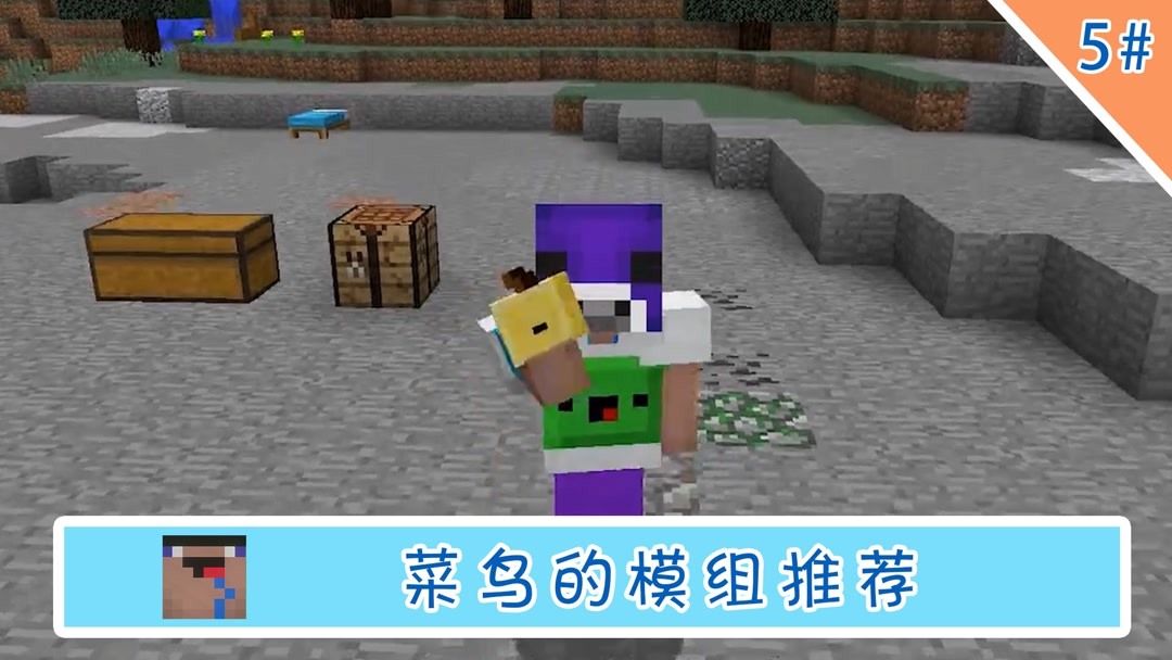 我的世界:菜鸟的模组推荐,背包宠物,夜视的豹猫