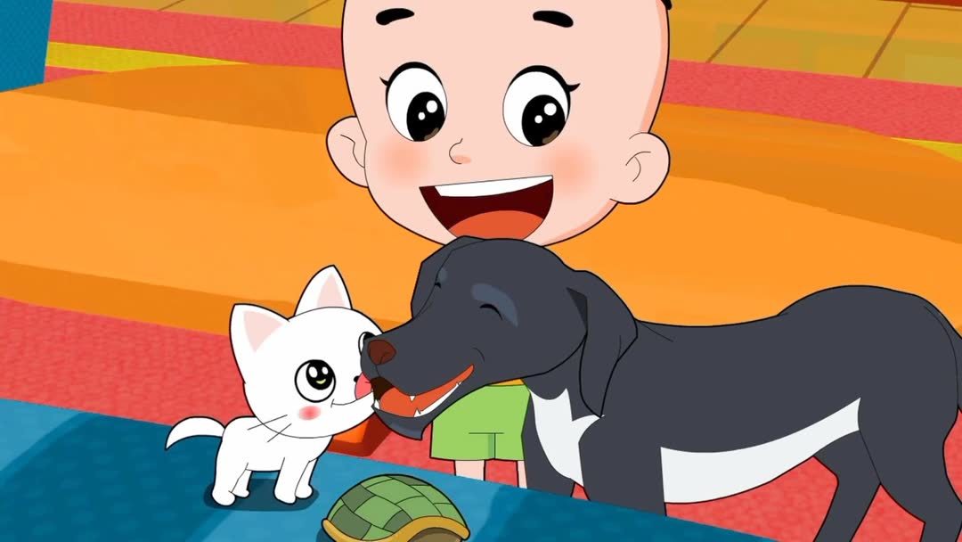 经过大头的不懈努力,终于让见面就打架的猫和狗成为了好朋友…