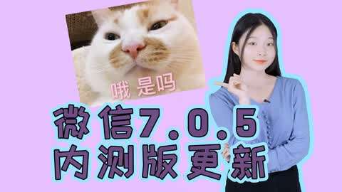 微信内测版更新:朋友圈视频可以AI配音乐了