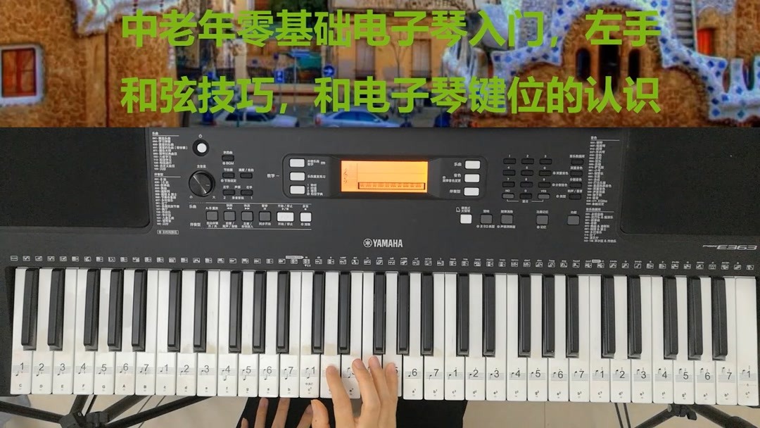 零基础电子琴指法入门教学,适合中老年在家学习,5分钟快速学会