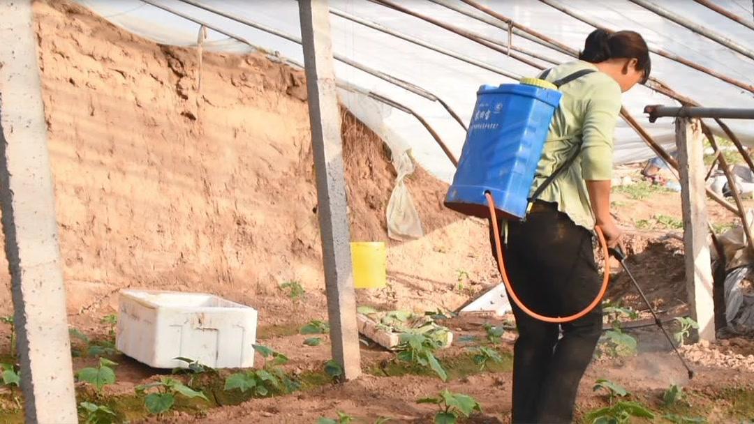 农药效果不好?40%的人是因为不会使用农药,你真的会用吗?