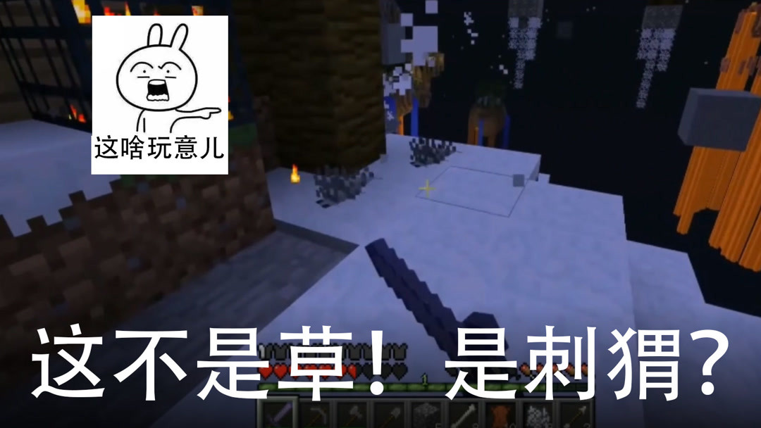 MC我的世界精彩搞笑解说:这是草还是刺猬?