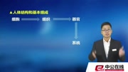 初中体育-运动人体科学-人体结构和基本组成