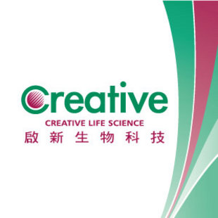 启新生物科技CMP 