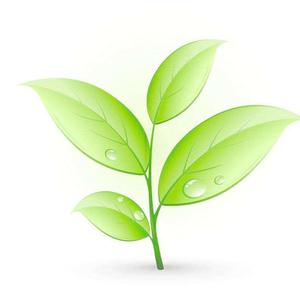 精彩影视连连 