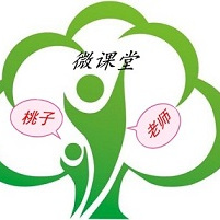 桃子老师微课堂 