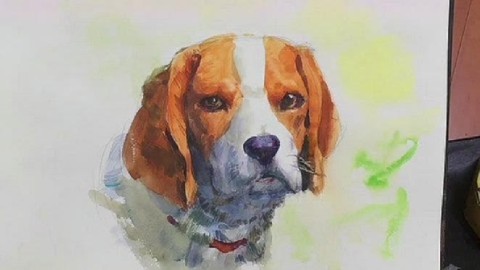 水彩画:毛茸茸的狗狗是这样画出来的,仔细看看你也可以画出来