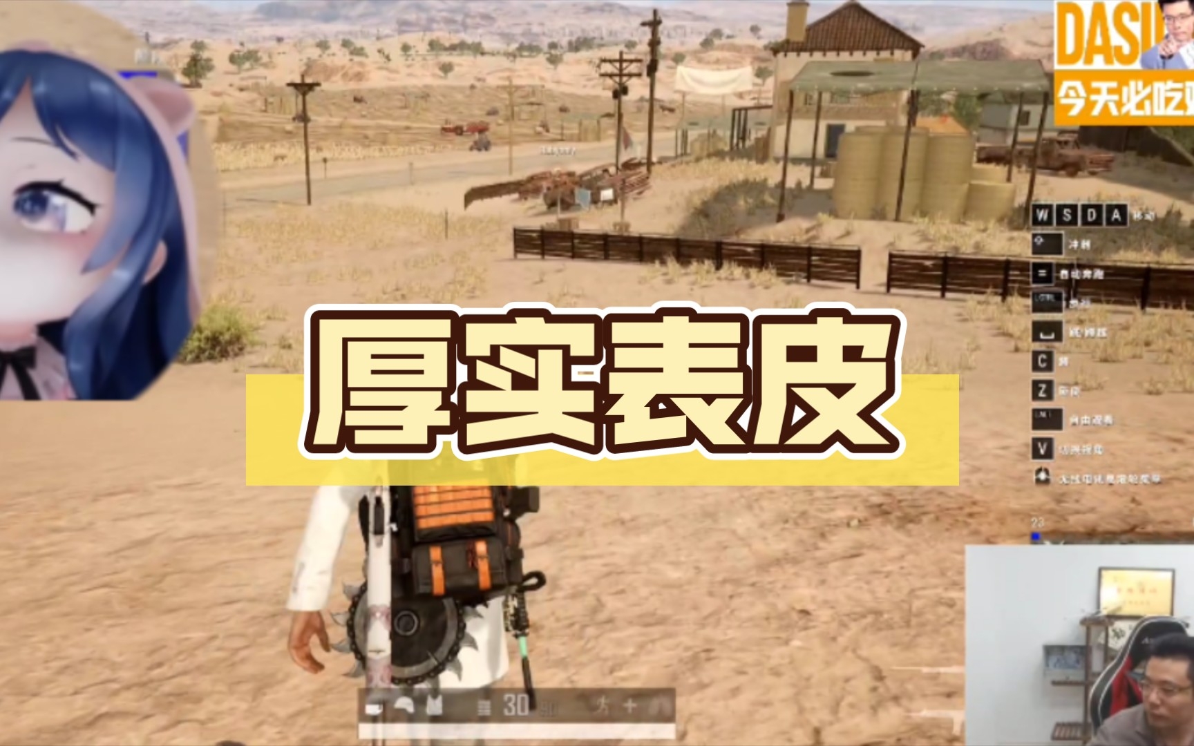 厚实表皮