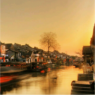 明月几时有11877093 