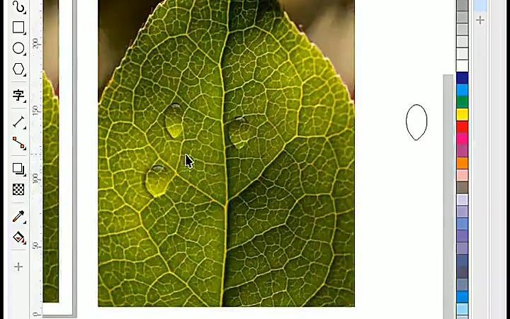 【CorelDRAW视频教学】CDR怎么绘制真实水滴效果 长沙coreldraw...