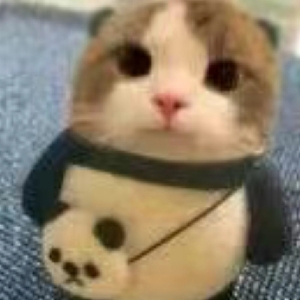 喵喵队长爱学习 