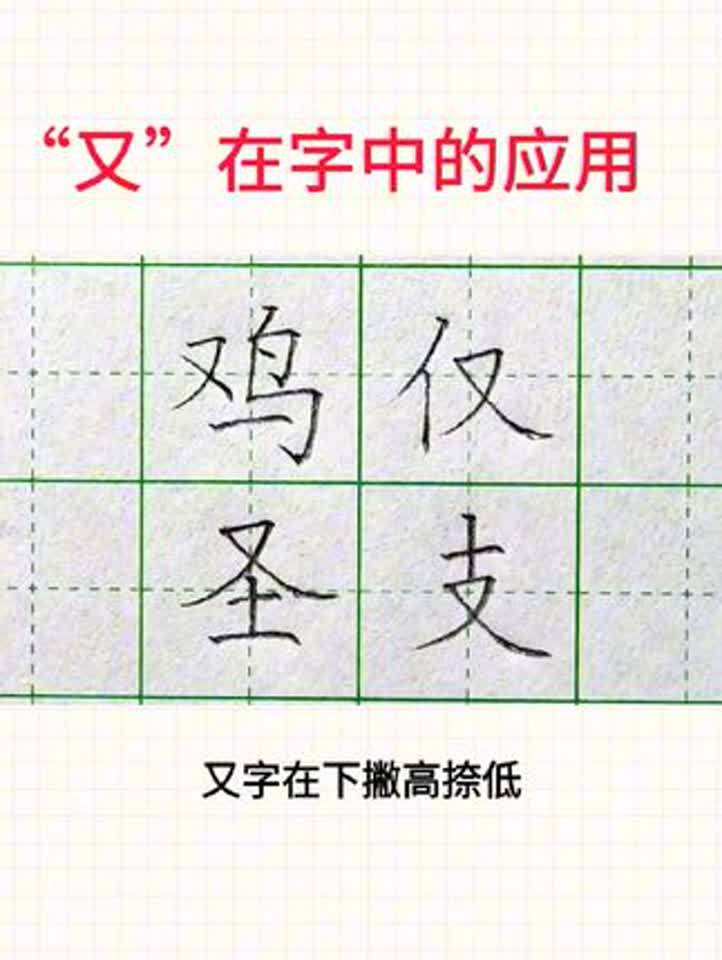 字根"又"在字中的书写技巧练字