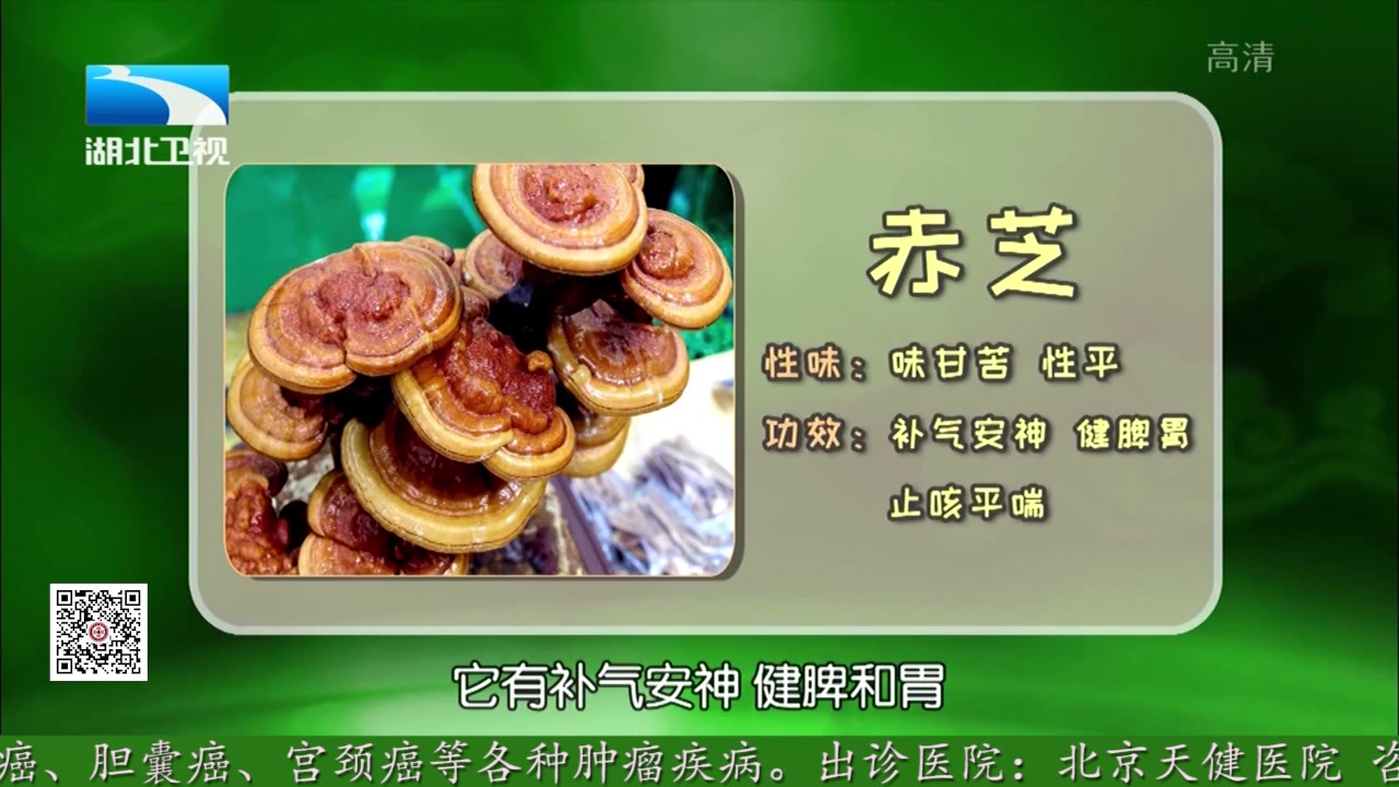 北京四惠西区医院张文彭主任讲药用真菌组方
