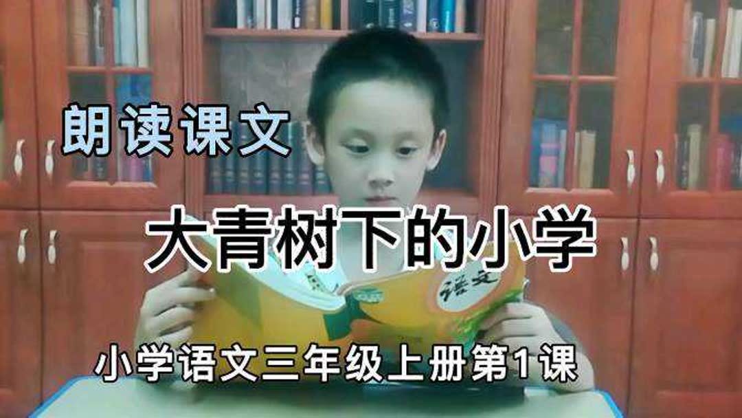 朗读课文《大青树下的小学》,小学语文三年级上册第1课