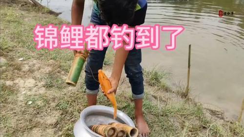小伙自制自动钓鱼装置,成功率很高,连锦鲤都钓上来了