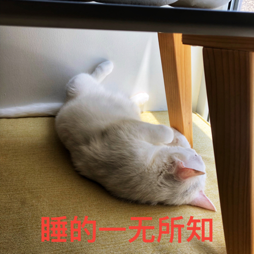 芦杰亮老师 