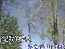 大漠情人 凤凰传奇