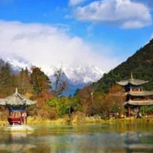 良心教育者有不为 