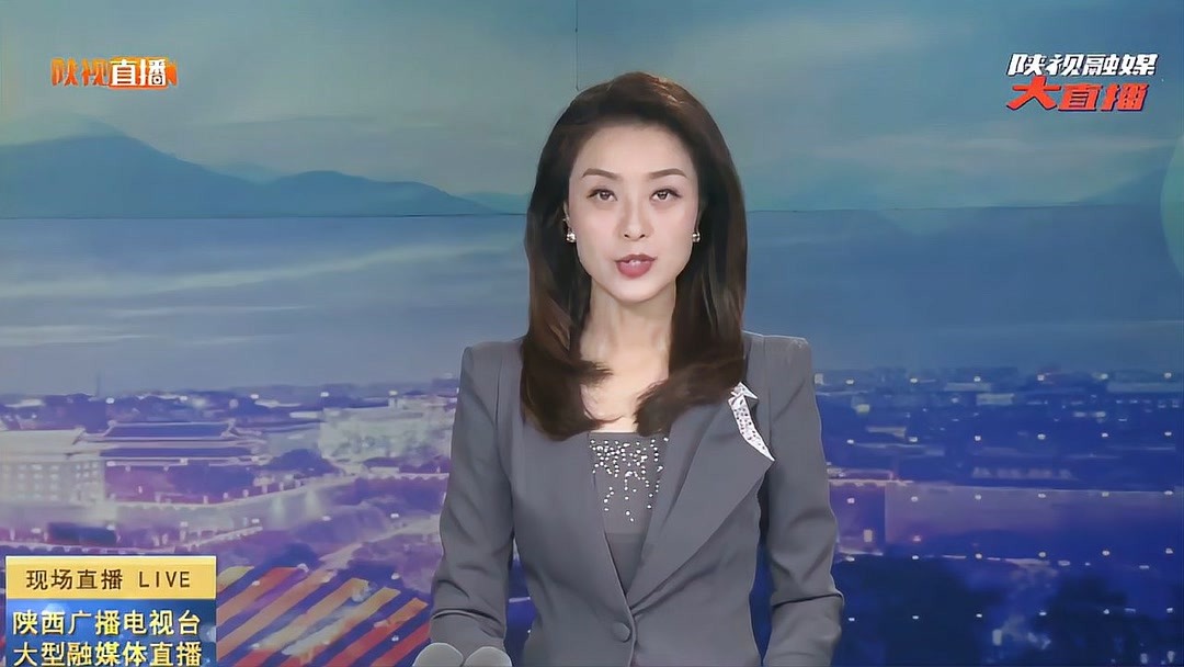 5月22日大连轿车撞人逃逸案已致5死5伤