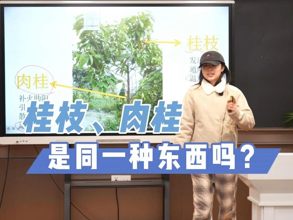 桂枝、肉桂是同一种东西吗?