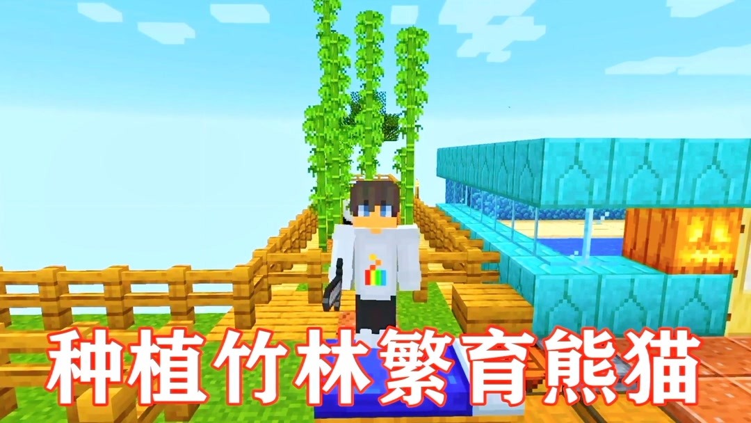 【MC大白】单方块空岛生存12,在空岛上培育大熊猫嘿嘿!