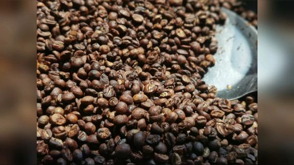 大铁锅手炒云南小粒咖啡