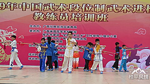 2019年中国武术段位制武术进校园 桂平市光明小学武术精彩表演! 拍照...