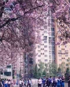 ...、处置性侵害、性骚扰工作机制;②应定期对全体学生开展防治欺凌...