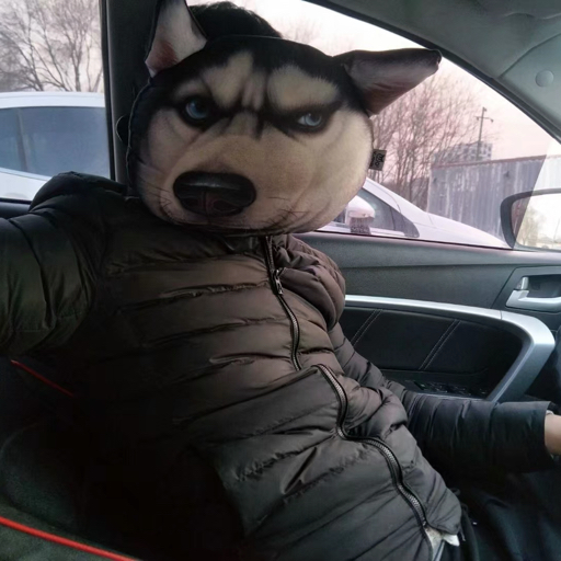 安阳智能锁大王 